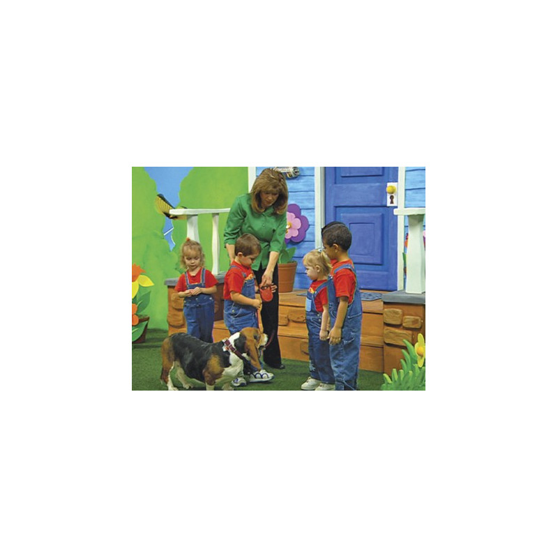 Tiny Tots 10 Volume DVD Set