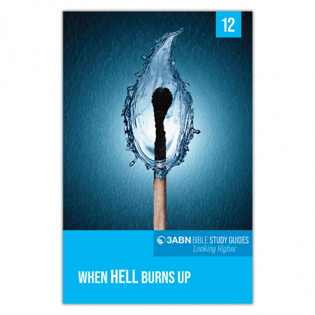 1 Set of 3ABN Study Guides: Looking Higher